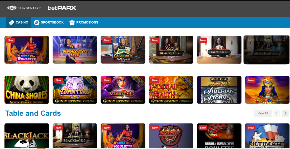 Play Gun Lake Michigan Promo🎖️ $1,000 Loss-back Bonus